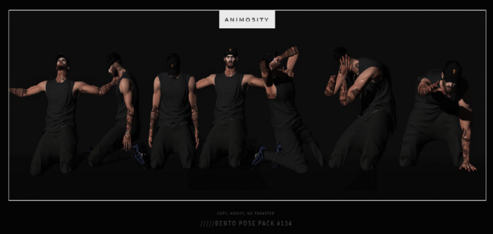 Second Life Marketplace - Animosity - 134 Pose Pack
